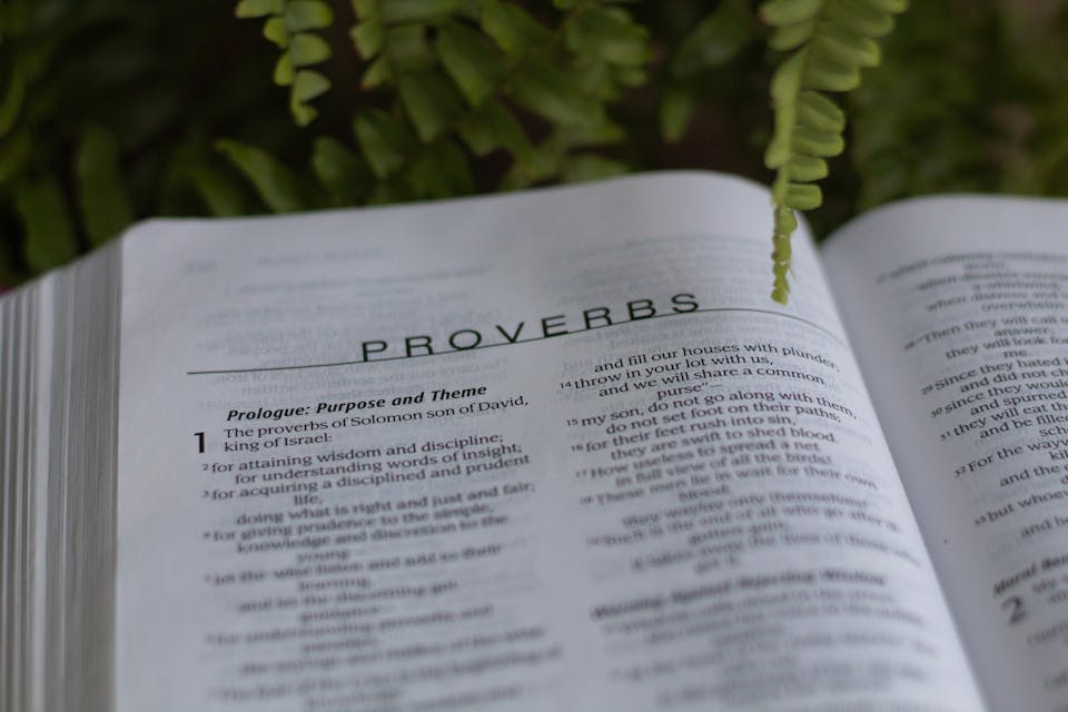 Read Proverbs Slowly. Take a Year Over It | oakleys.org.uk